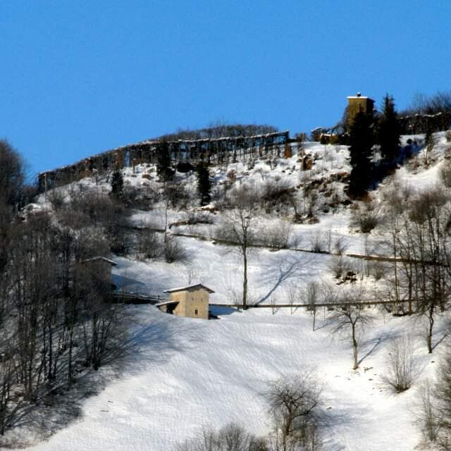 Il mondo del roccolo raccontato dal cuore di una donna - Caccia e Dintorni